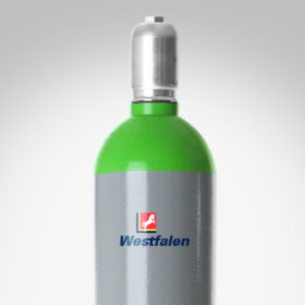 Gaz Industriel Sagox K2 - Westfalen | TPS – Tout pour la soudure